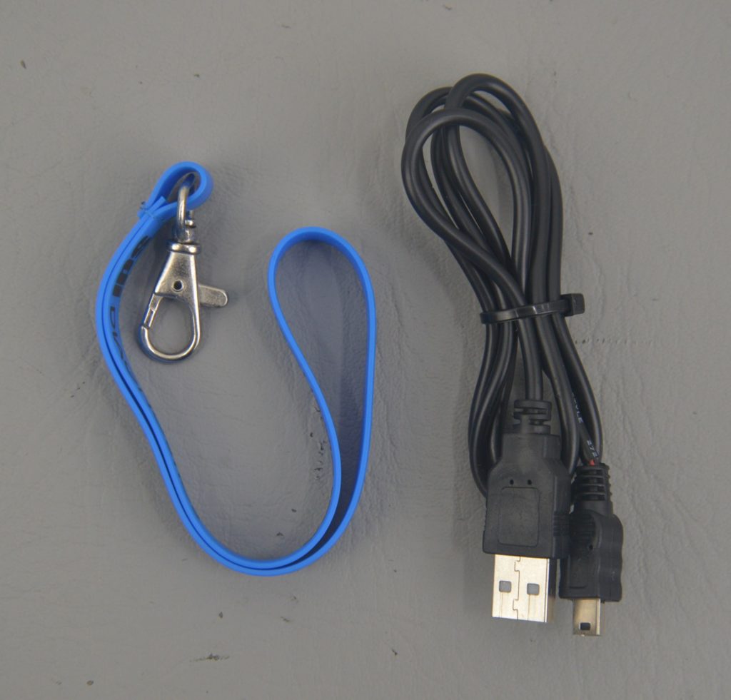 SDI Diagnostics Astra 300 Multi-Functional Touchscreen Spirometer 29 ...