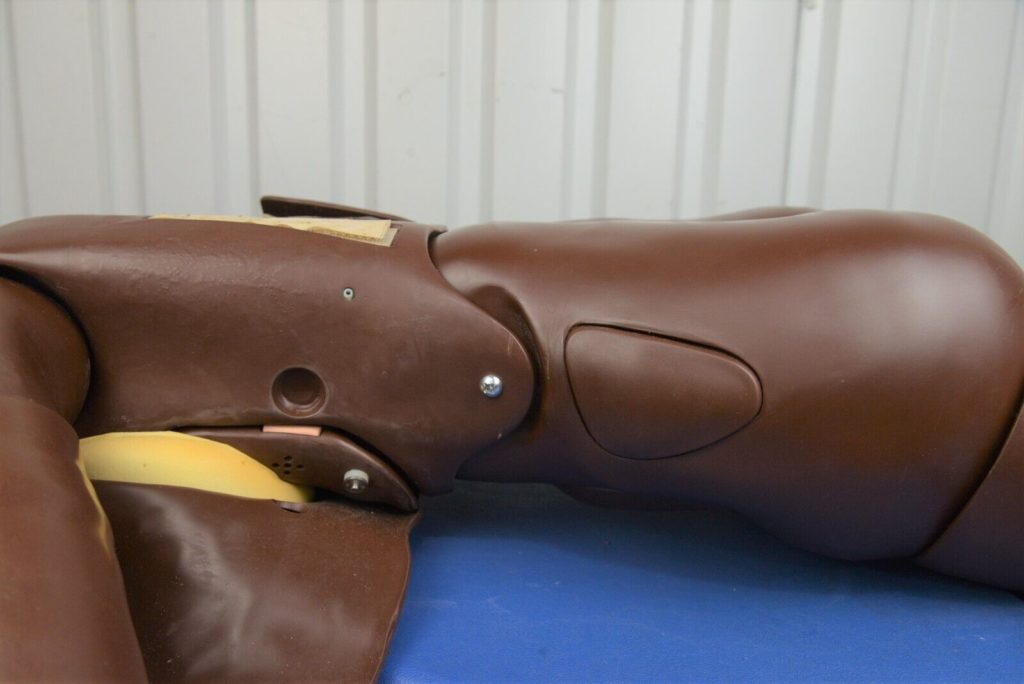 Laerdal Nursing Anne 325-05050B W/ VitalSim Vital Signs Simulator ...