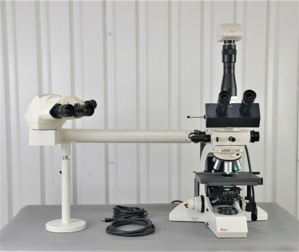 Upright – Rhino Trade LLC