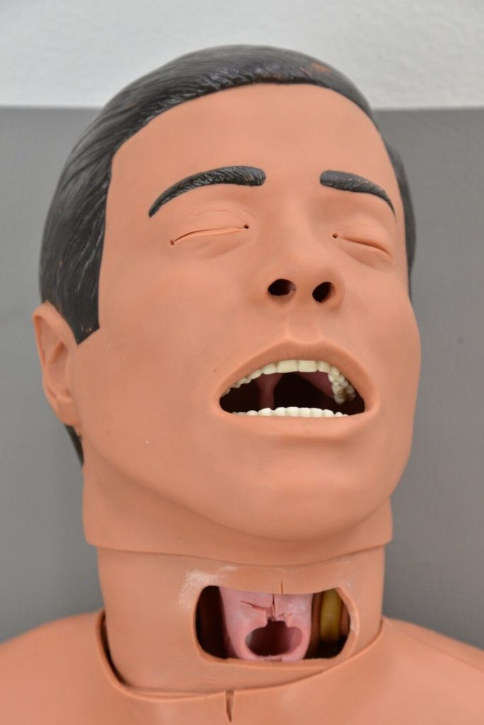 Laerdal AT Kelly Torso 260-00001 Airway Training Manikin – Rhino Trade LLC