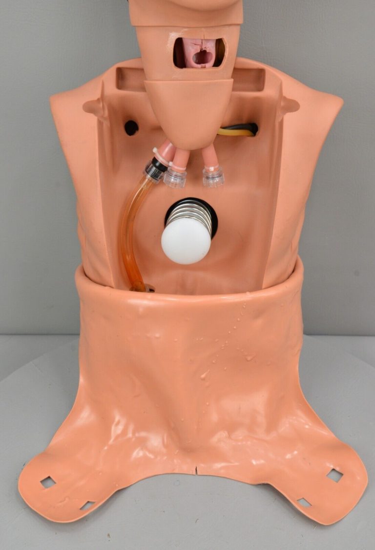 Laerdal AT Kelly Torso 260-00001 Airway Training Manikin – Rhino Trade LLC