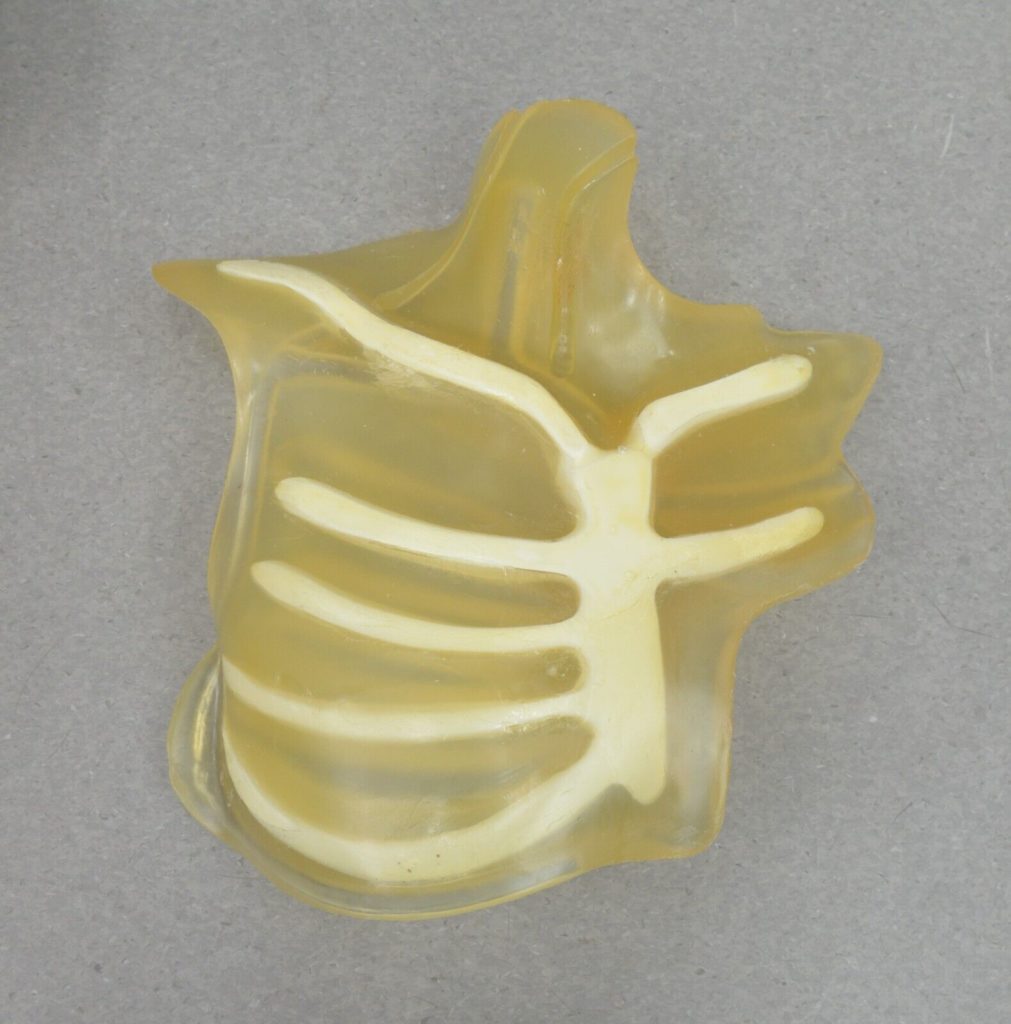 NASCO Life Forms Central Venous Cannulation Simulator LF01087U – Rhino ...