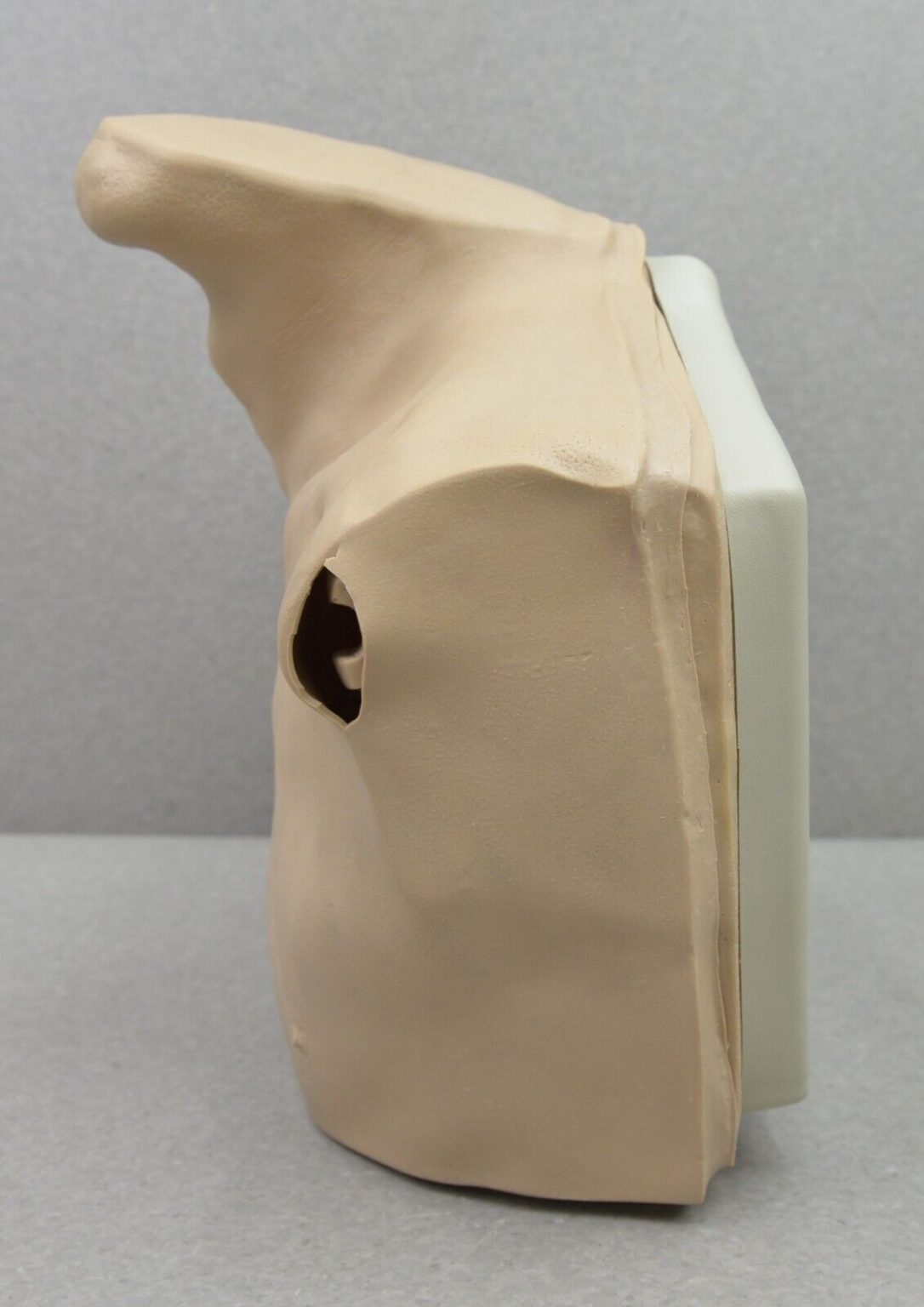 NASCO Life Forms Central Venous Cannulation Simulator LF01087U – Rhino ...