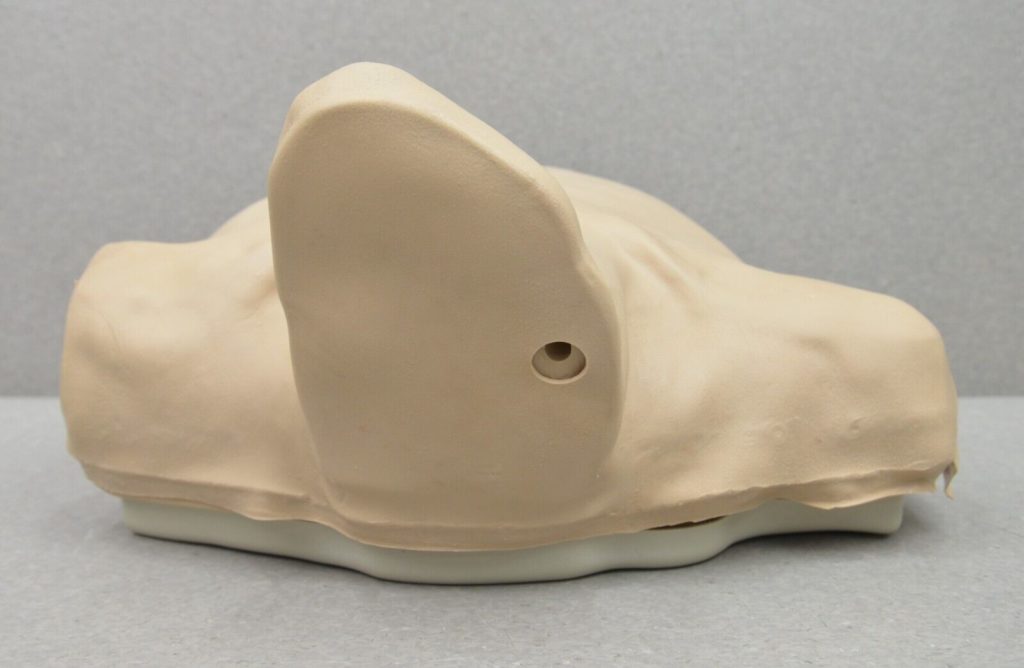 NASCO Life Forms Central Venous Cannulation Simulator LF01087U – Rhino ...