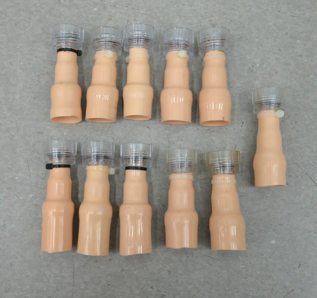 Laerdal Catheterization and Enema Task Trainer Accessories W/ Reservoir ...