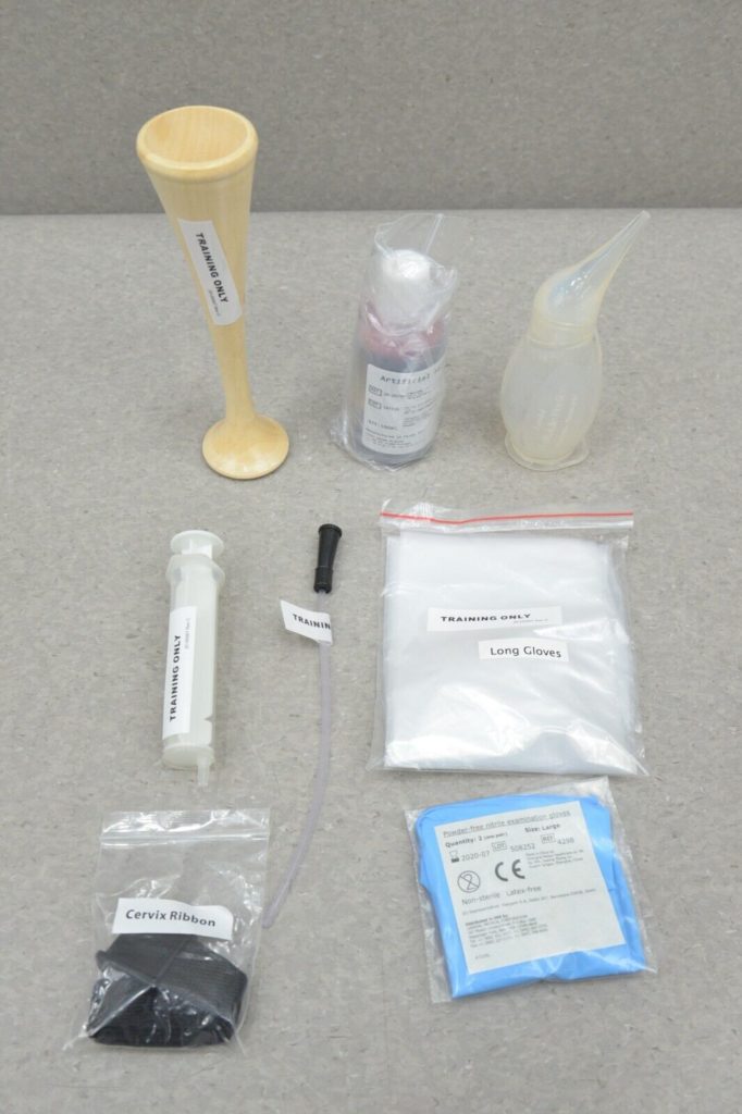 Laerdal MamaNatalie Complete Birthing Simulator 340-00333 – Rhino Trade LLC