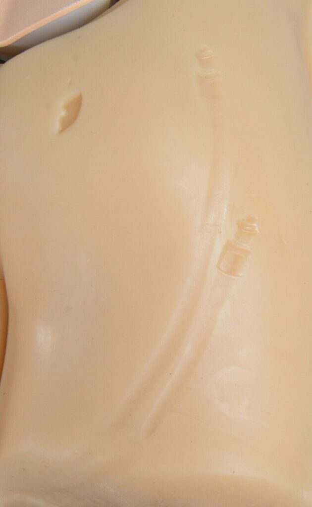 Blue Phantom Full-Torso FAST Trauma Exam Ultrasound Training Model W ...