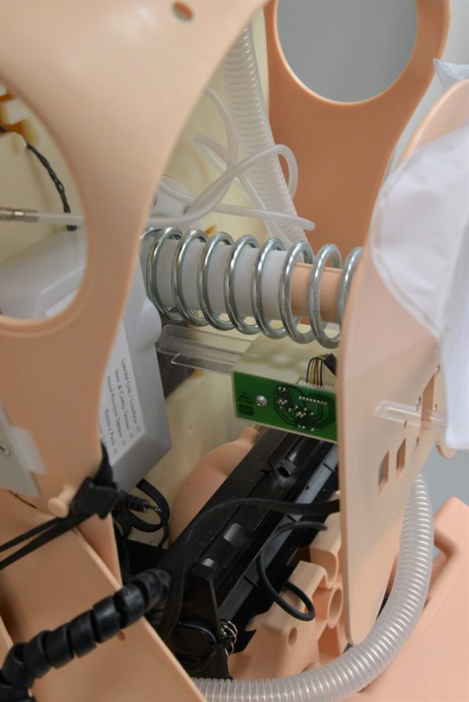 Laerdal Resusci Anne QCPR 171-00150 Torso Training Manikin w/ Carry Bag ...