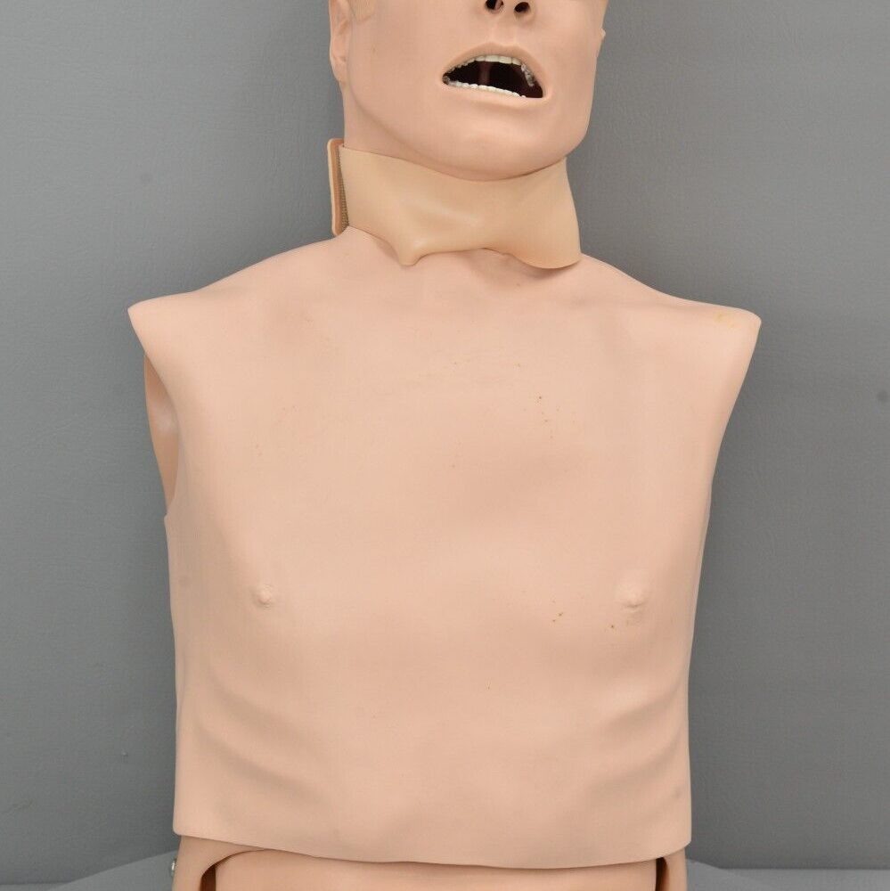 Laerdal AT Kelly Torso 260-00001 Airway Training Manikin – Rhino Trade LLC