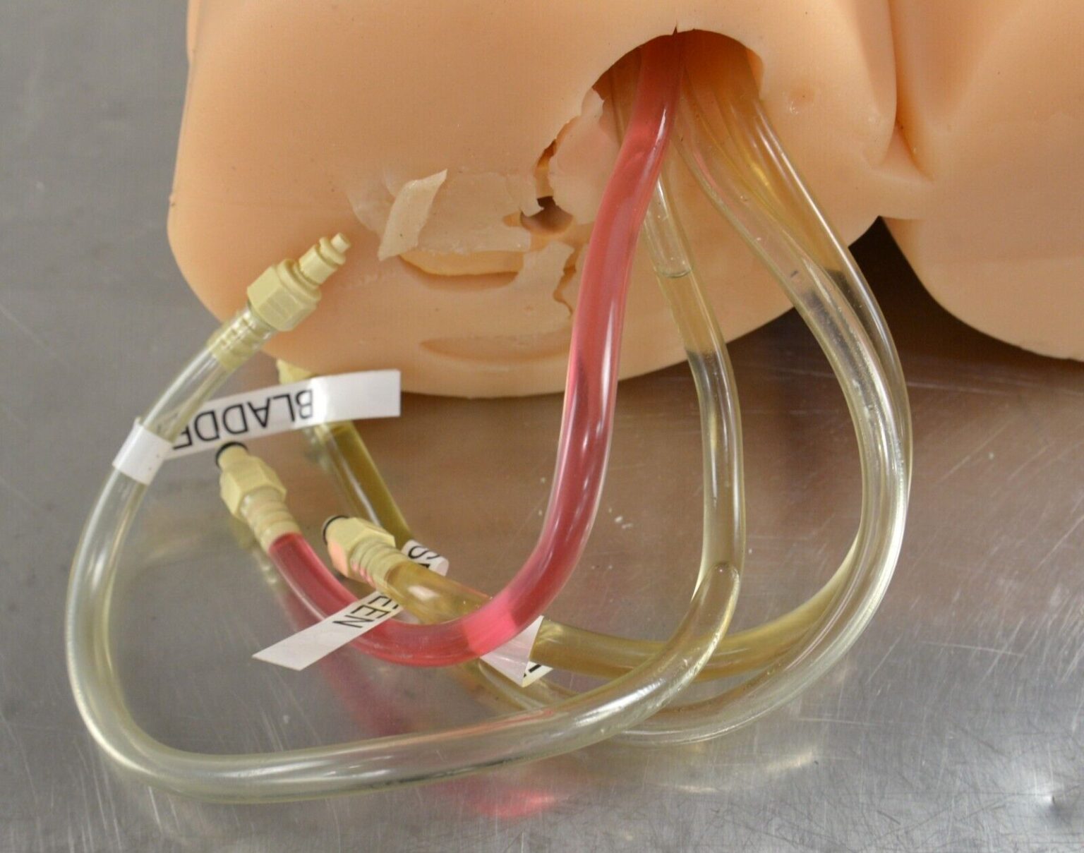 Blue Phantom Full-Torso FAST Trauma Exam Ultrasound Training Model W ...