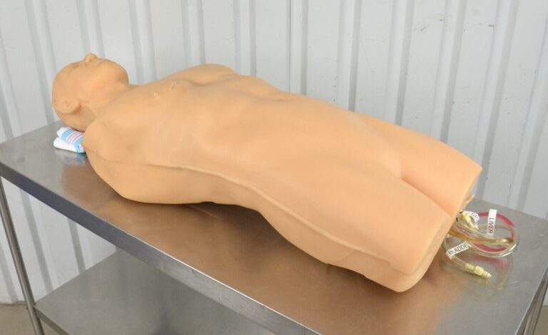 Blue Phantom Full-Torso FAST Trauma Exam Ultrasound Training Model W ...