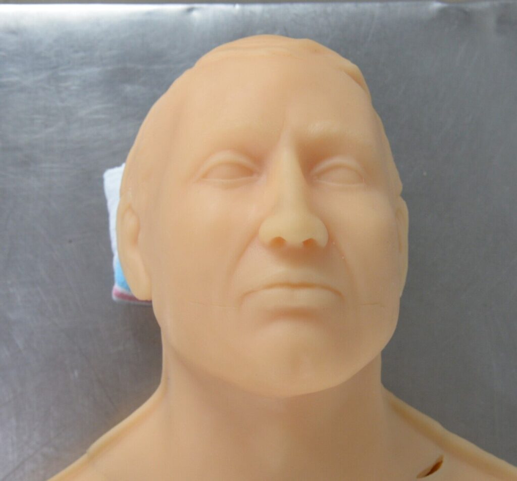 Blue Phantom Full-Torso FAST Trauma Exam Ultrasound Training Model W ...